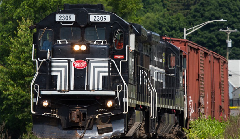 Finger Lakes Railway Gallery