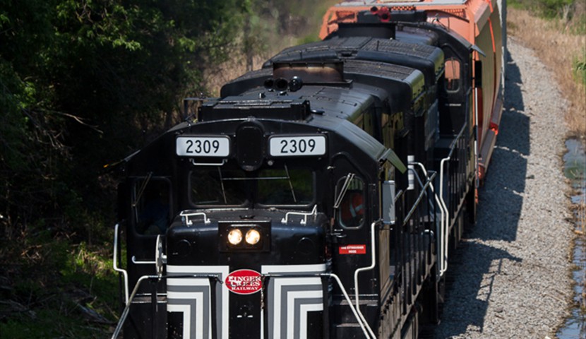 Finger Lakes Railway Gallery